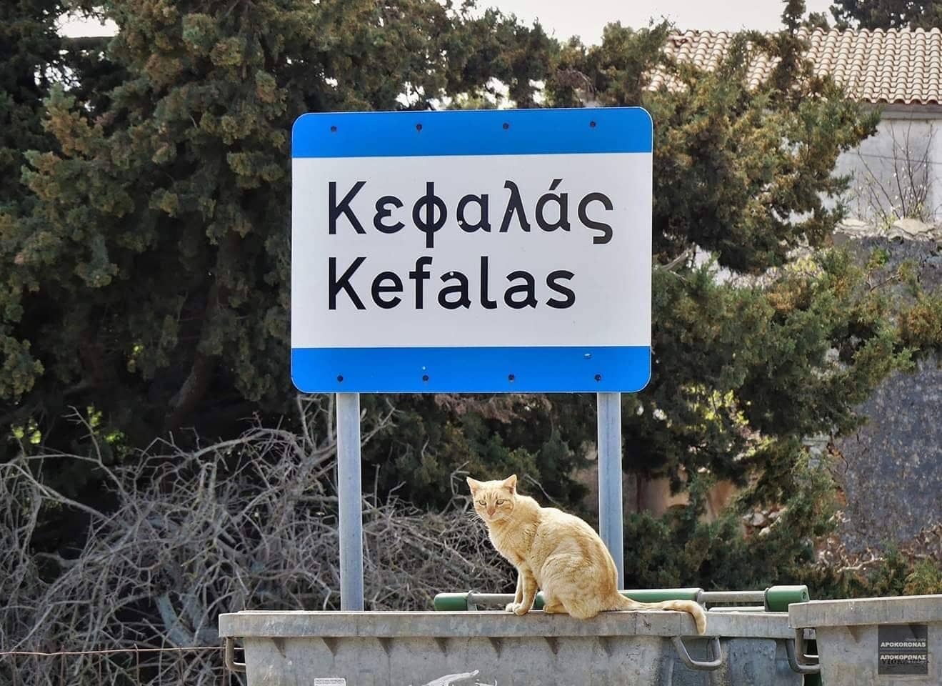 Kefalas, parel van de regio Apokoronas - Kreta Griekenland